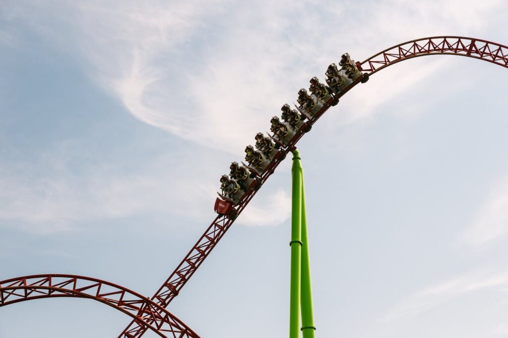 What Are the Common Causes of Roller Coaster Accidents?